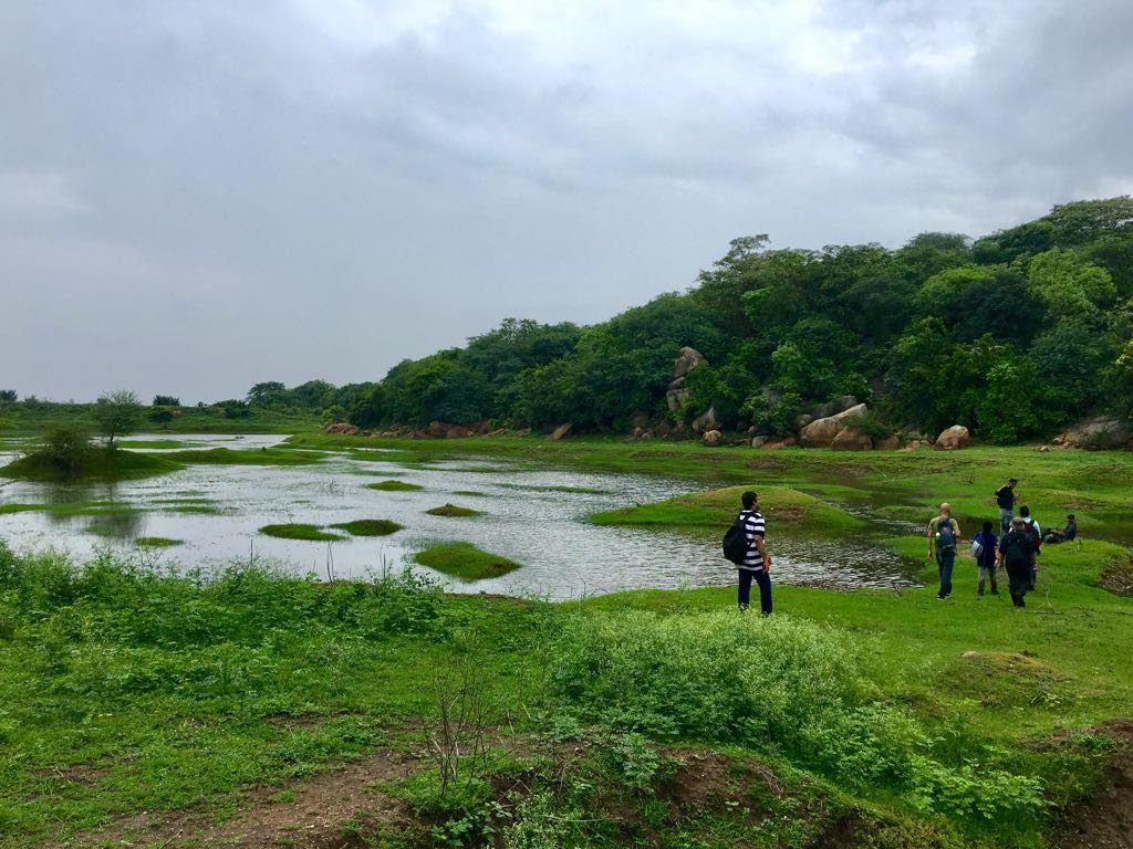 Narsapur Jinnaram Forest Trek – GoXp