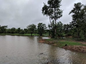 Narsapur Forest Trek – GoXp
