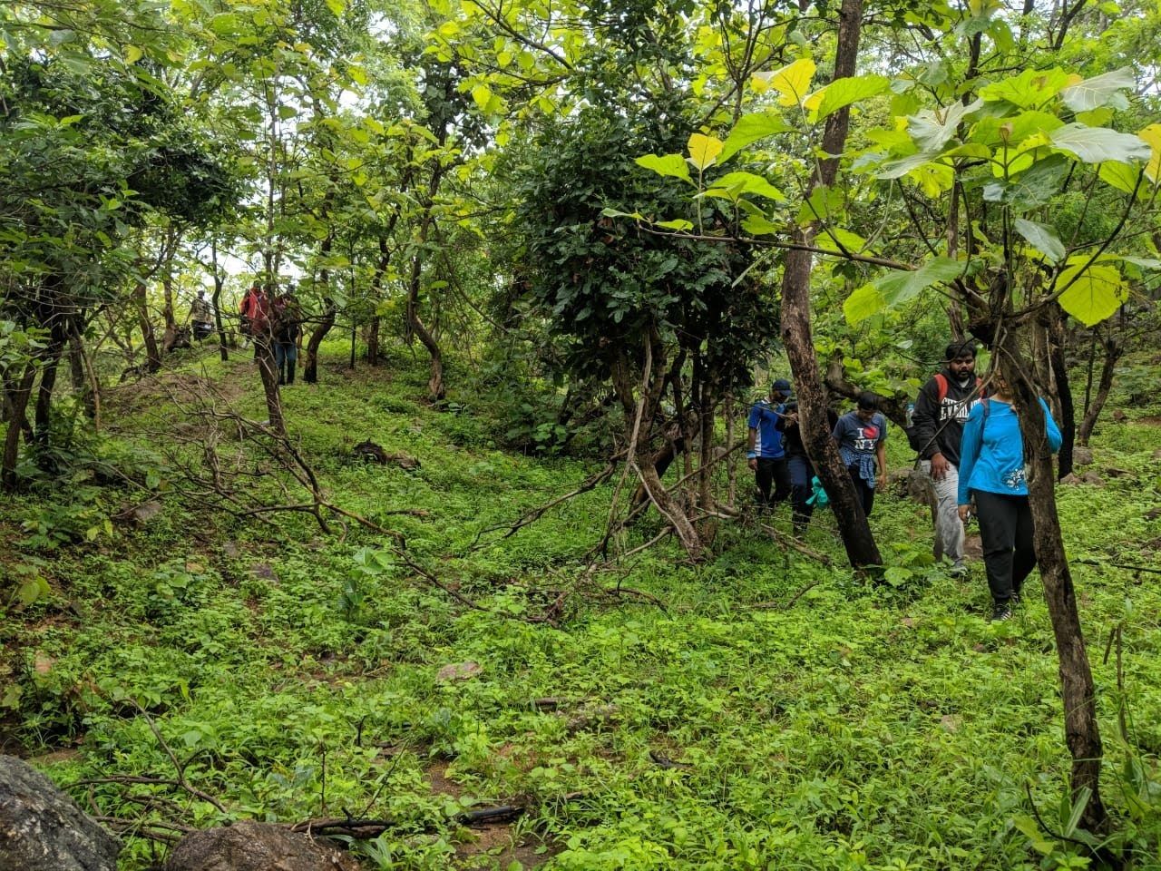 Narsapur Jinnaram Forest Trek – GoXp