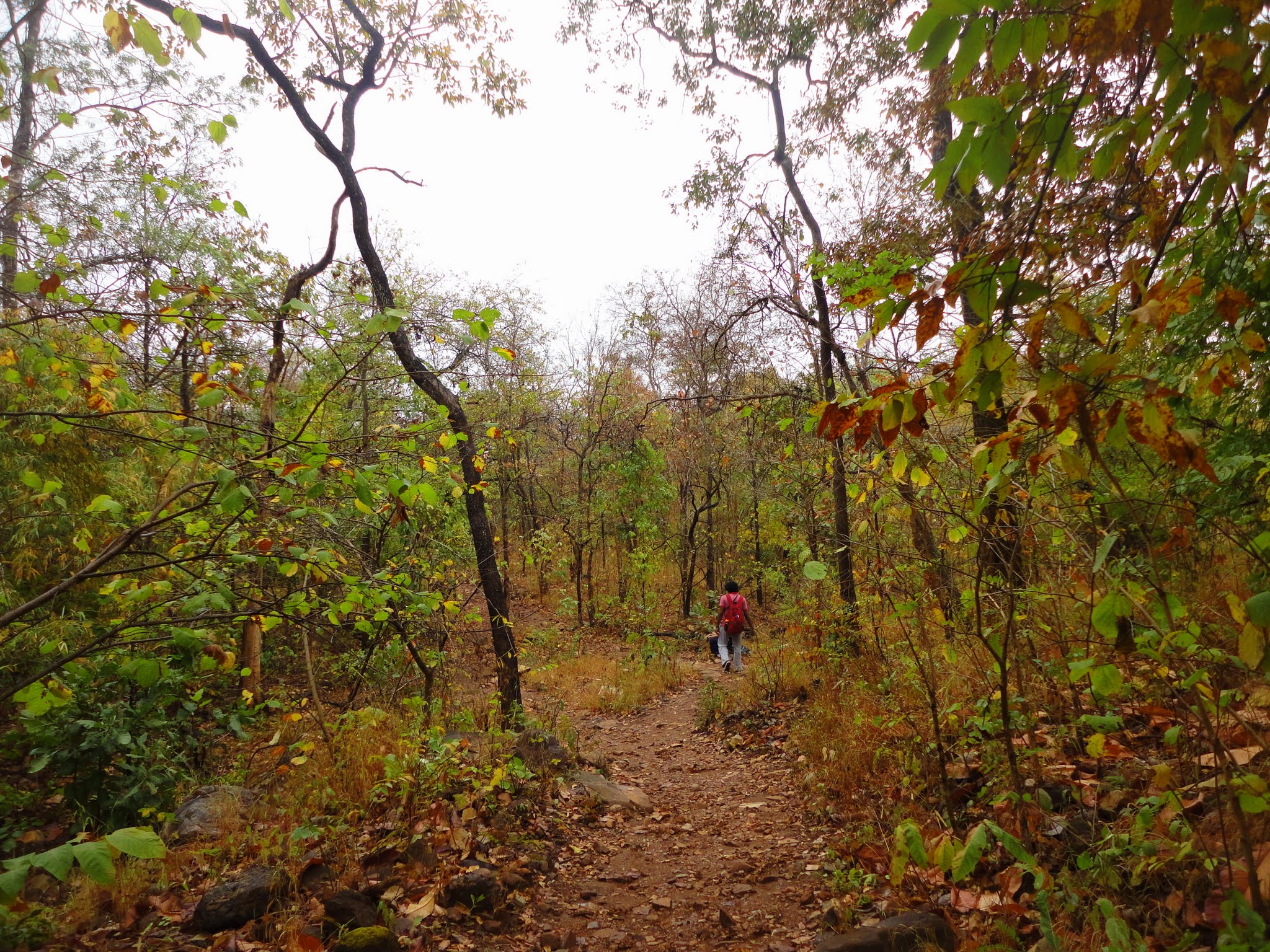 Srisailam Padayatra Trek – GoXp