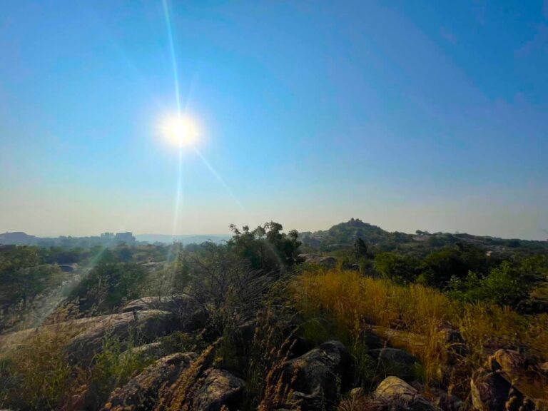 Narsapur Jinnaram Forest Trek – GoXp